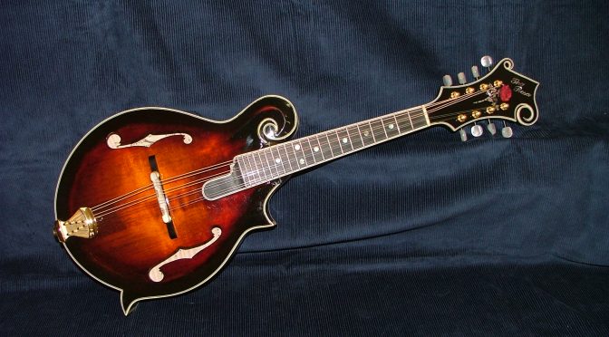 Mandolins | Rosa String Works